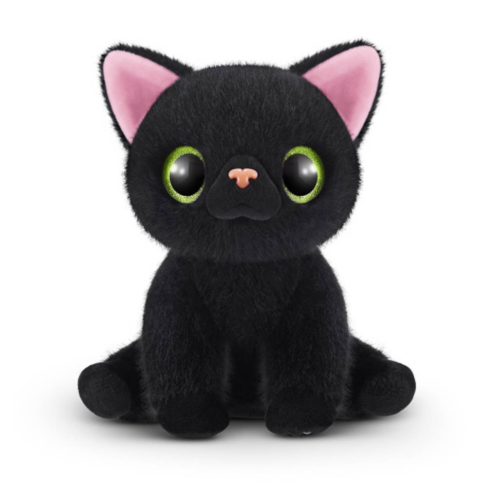 Pets Alive S1 smitten kittens