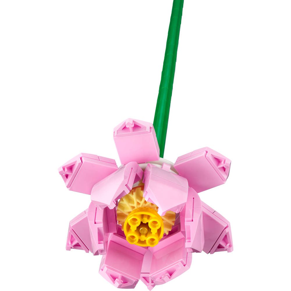 LEGO Botanicals lotusbloemen 40647