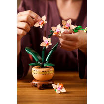 LEGO Botanicals mini orchidee 10343